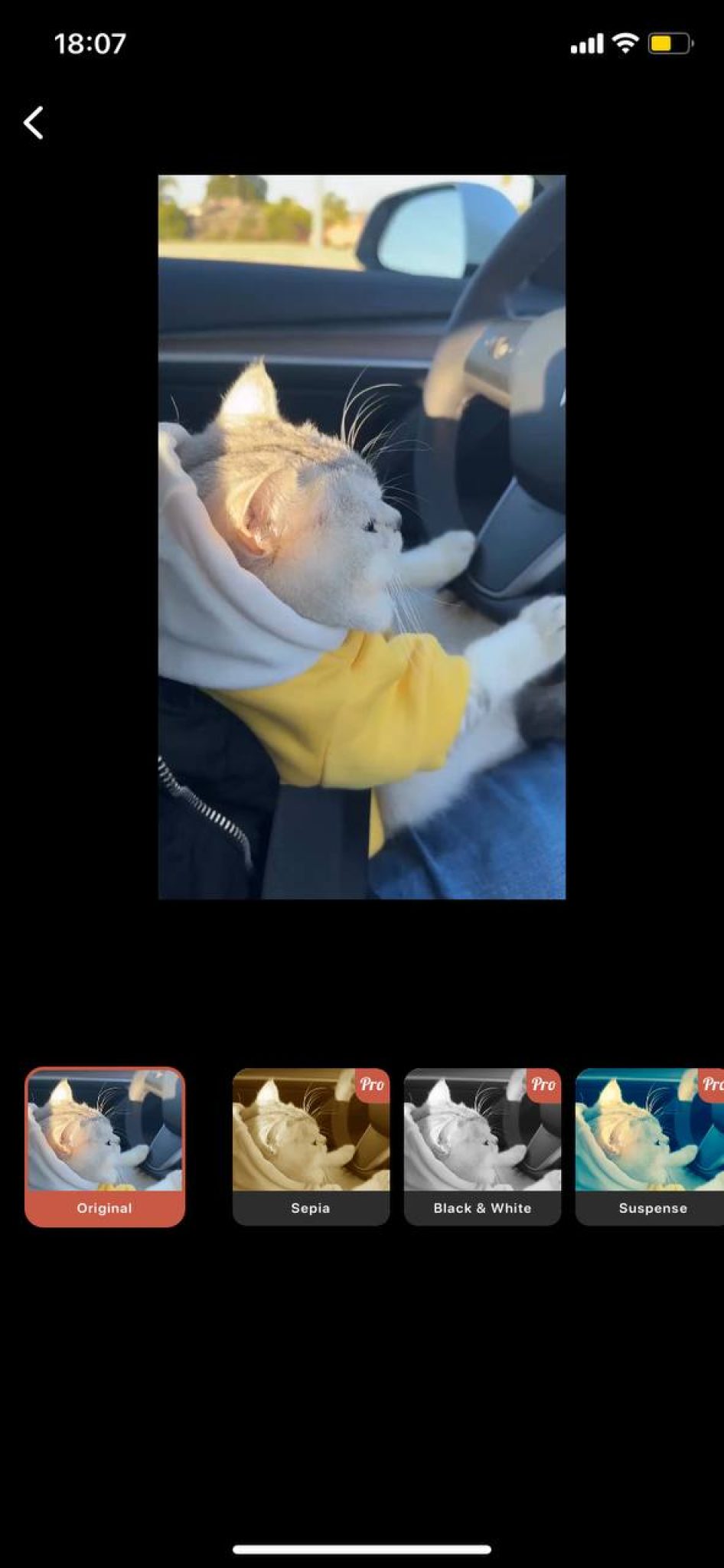 6 Free Loop Video Apps for Android & iOS | Freeappsforme - Free apps ...