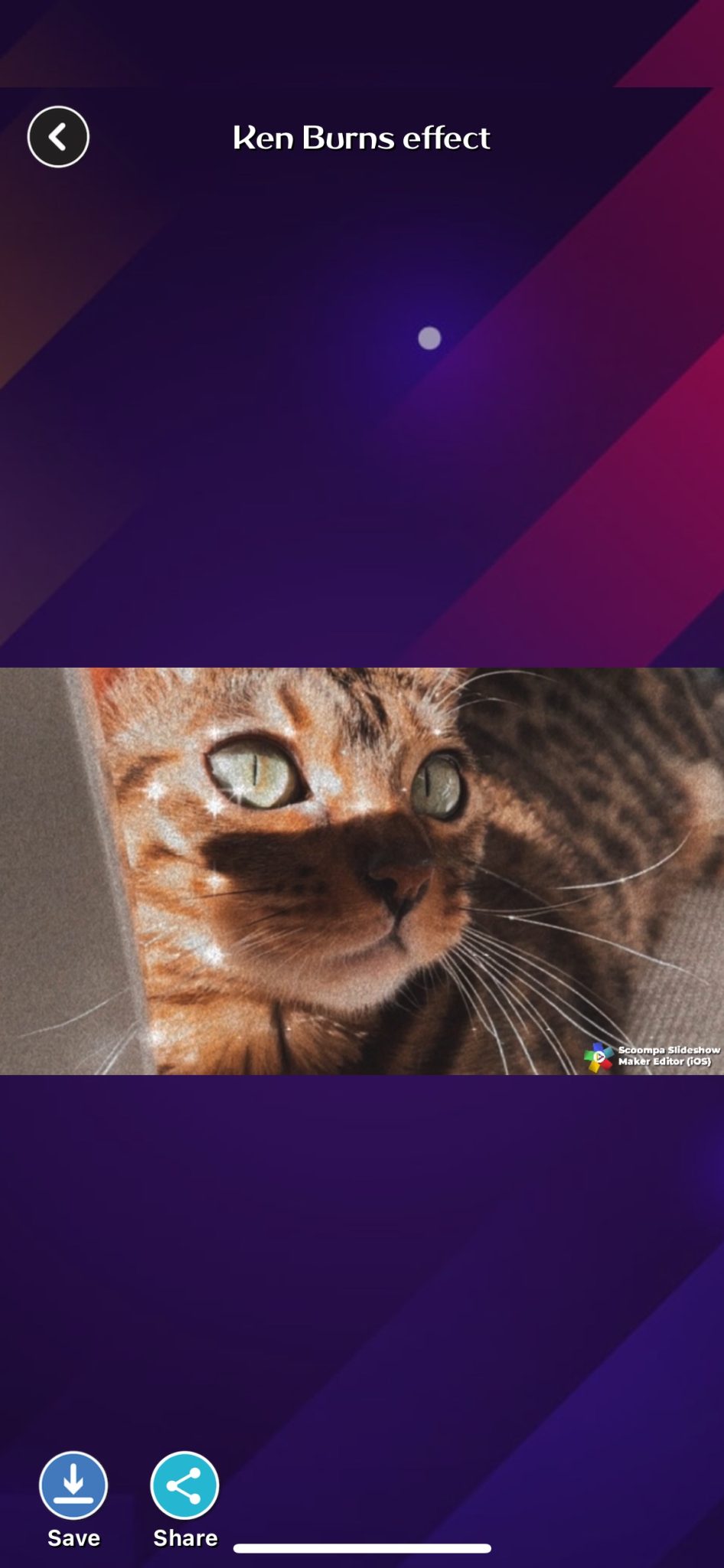 11 Free Slideshow Maker Apps & Websites for 2025 | Freeappsforme - Free ...