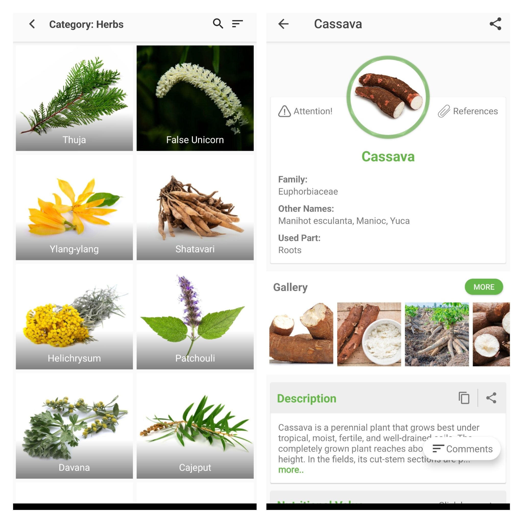 7 Best Herbal Apps for Android & iOS | Freeappsforme - Free apps for ...