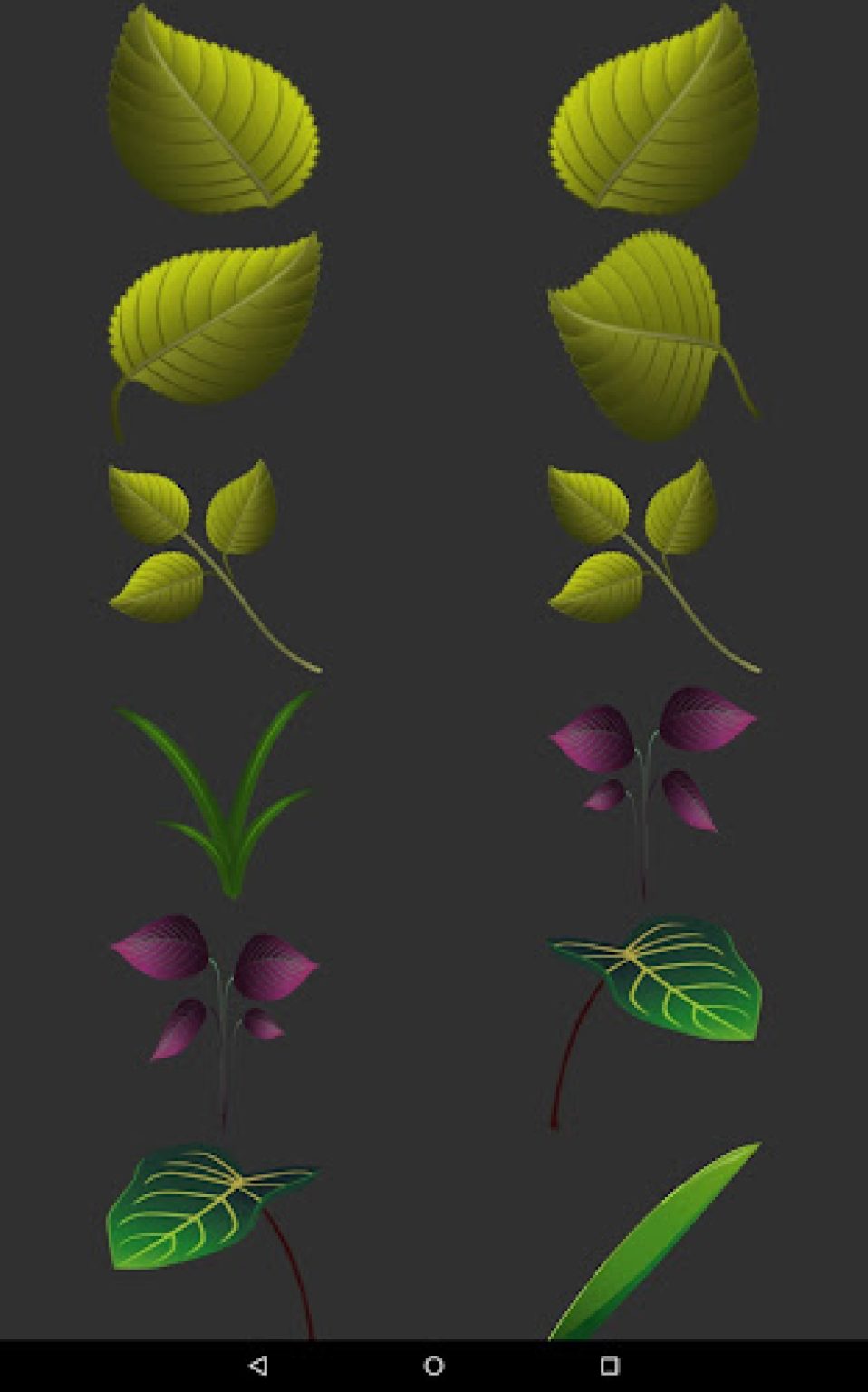 5 Free Virtual Floral Design Apps & Websites | Freeappsforme - Free ...