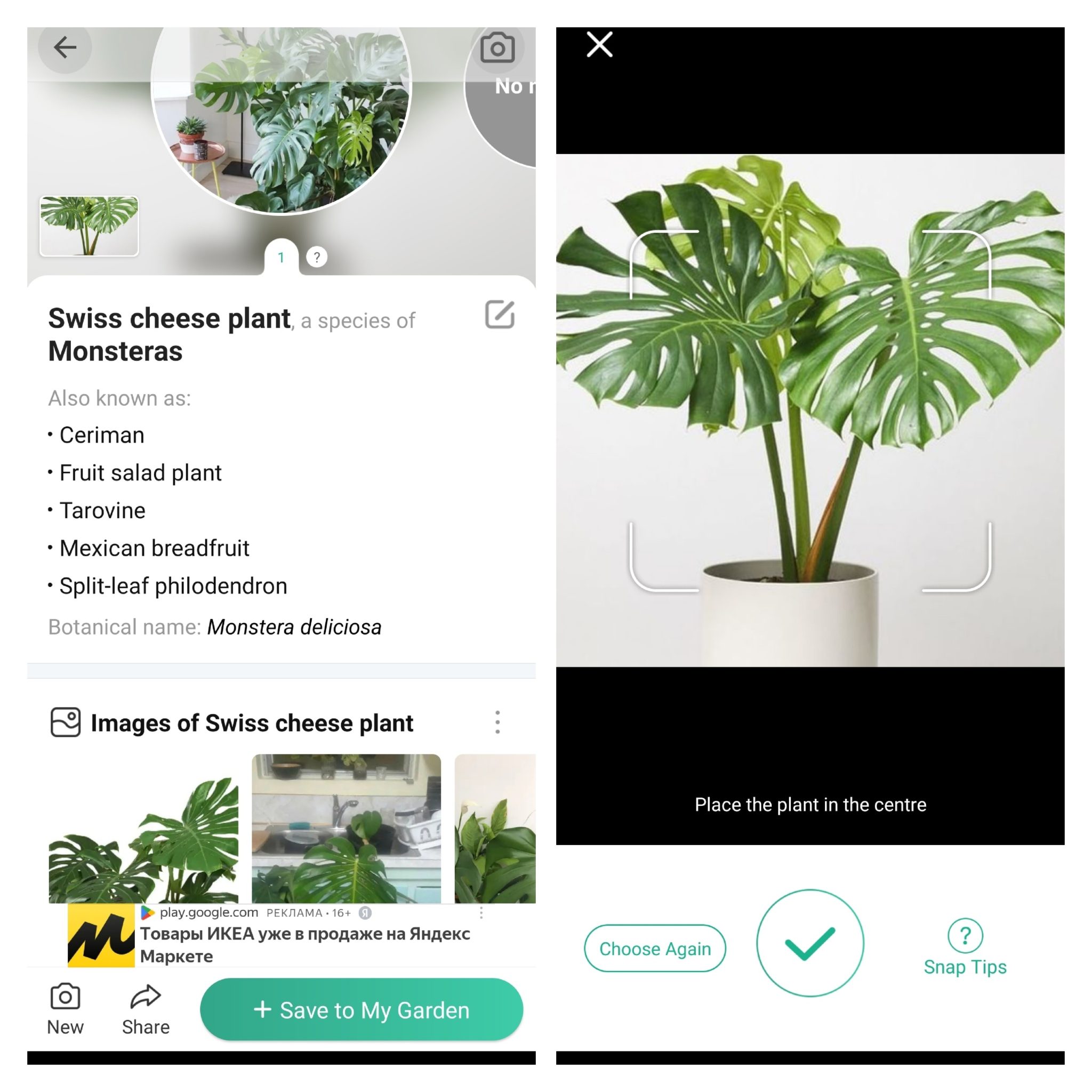 11 Best Free Planting Apps for Android & iOS | Freeappsforme - Free ...