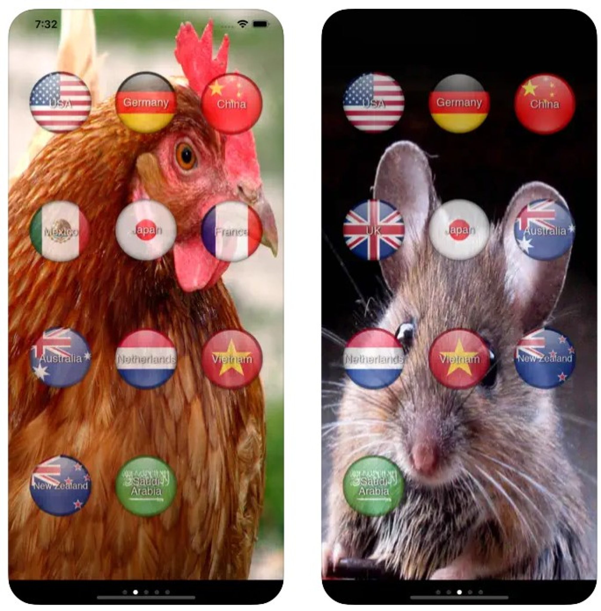 7 Best Human-To-Cat Translator Apps for Android & iOS | Freeappsforme ...