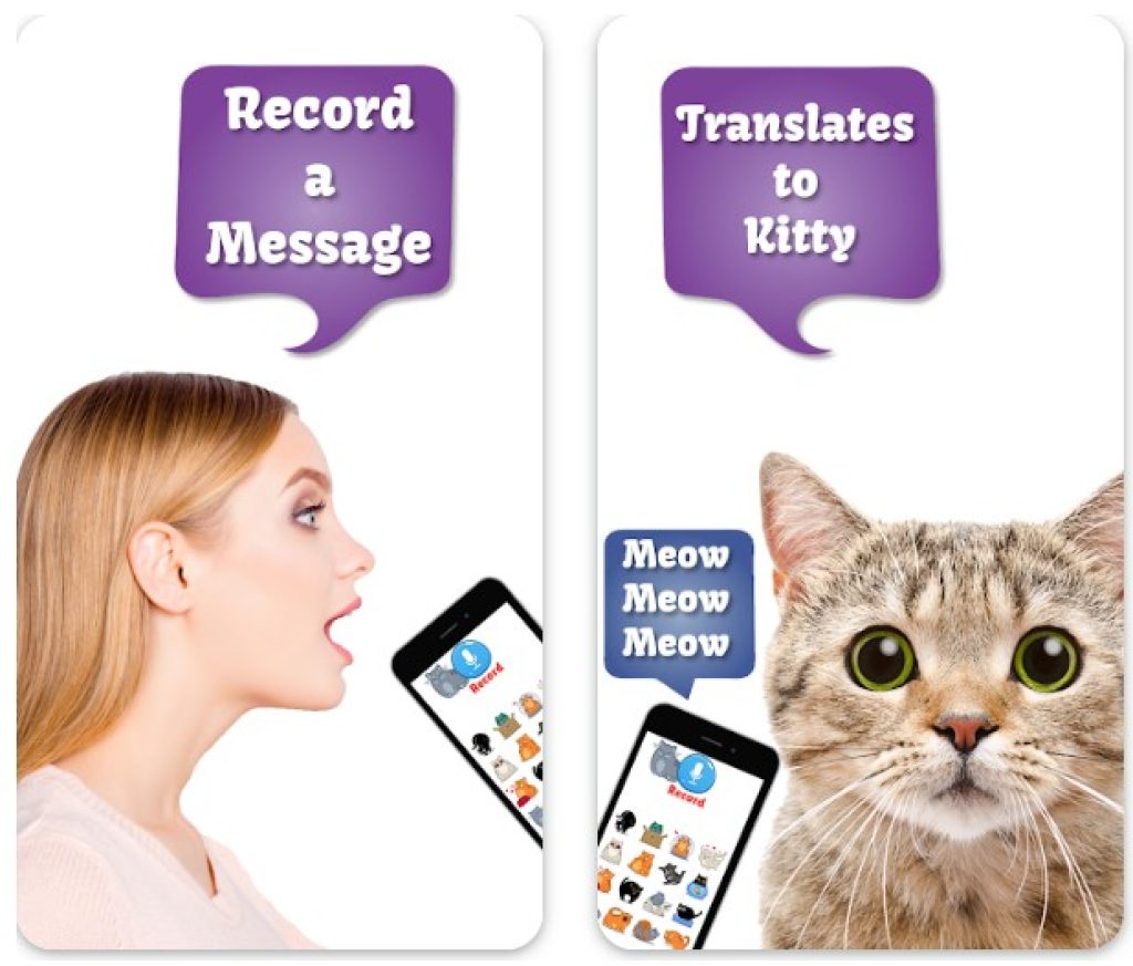 7 Best Human-To-Cat Translator Apps for Android & iOS | Freeappsforme ...