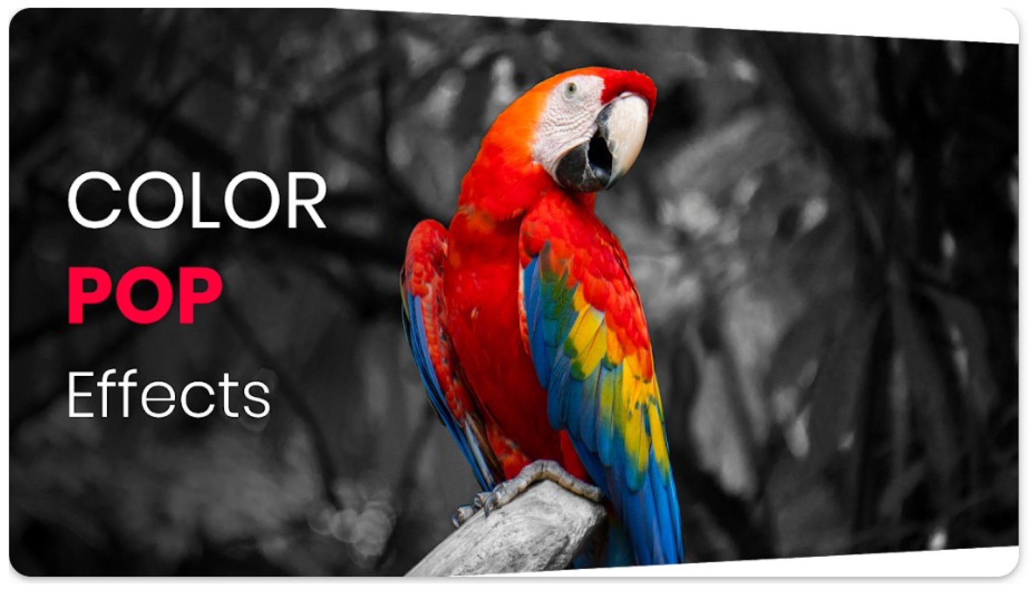 7 Best Recoloring Apps for Android & iOS | Freeappsforme - Free apps ...