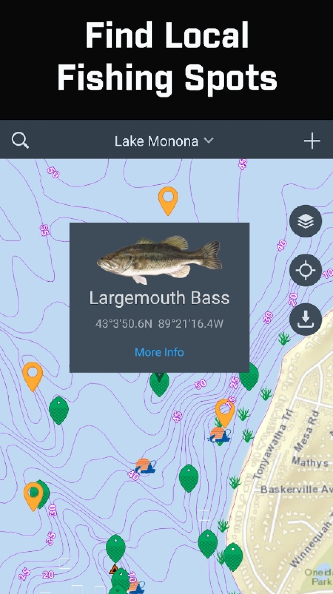10 Best Fish Identification Apps for Android & iOS | Freeappsforme ...