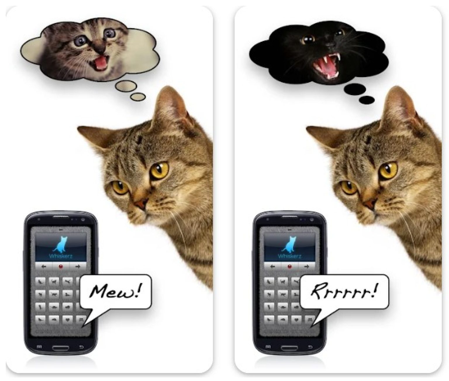 7 Best Human-To-Cat Translator Apps for Android & iOS | Freeappsforme ...