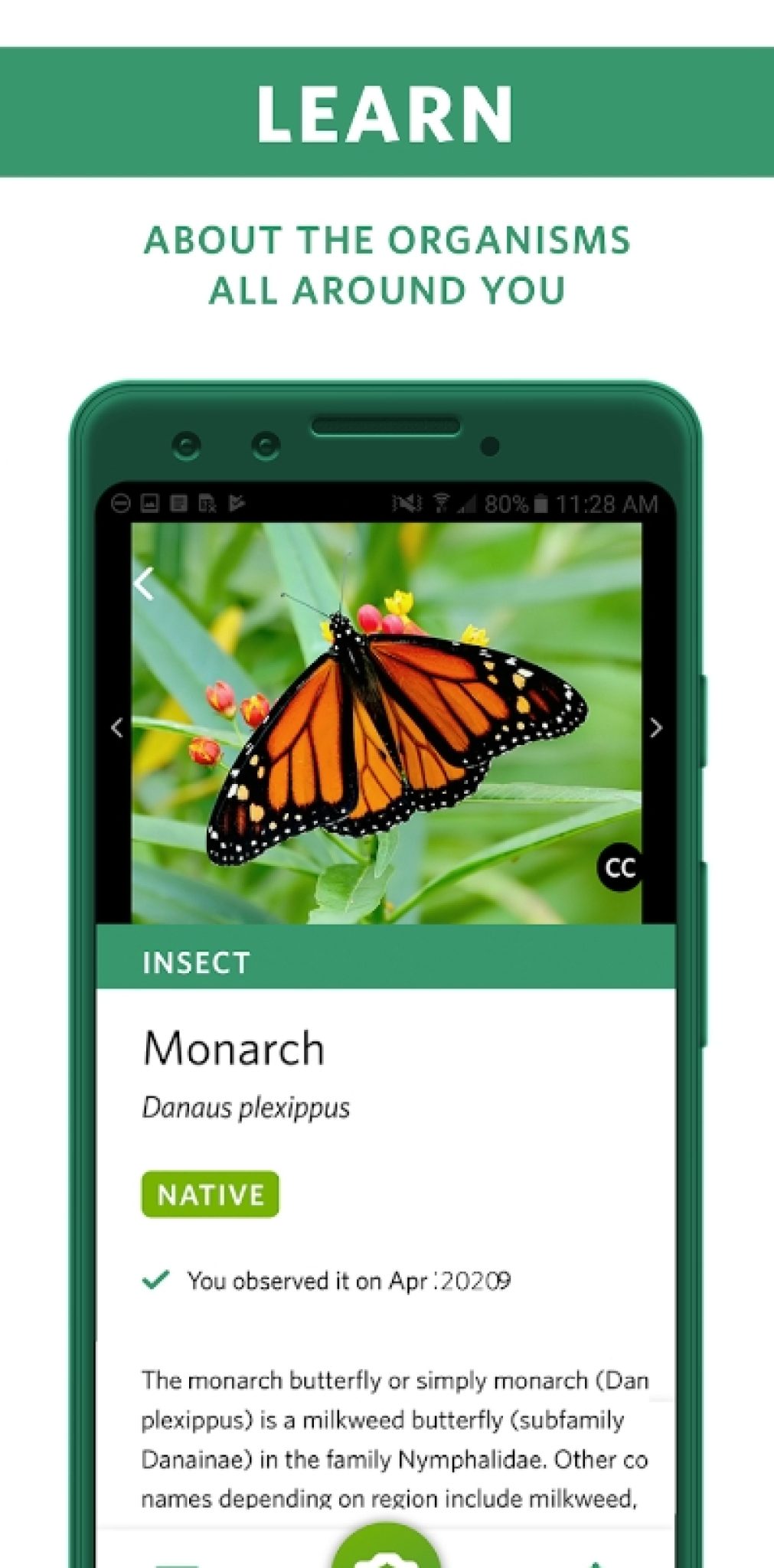 8 Best Animal Identification Apps for Android & iOS| Freeappsforme ...