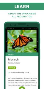 8 Best Animal Identification Apps for Android & iOS| Freeappsforme ...