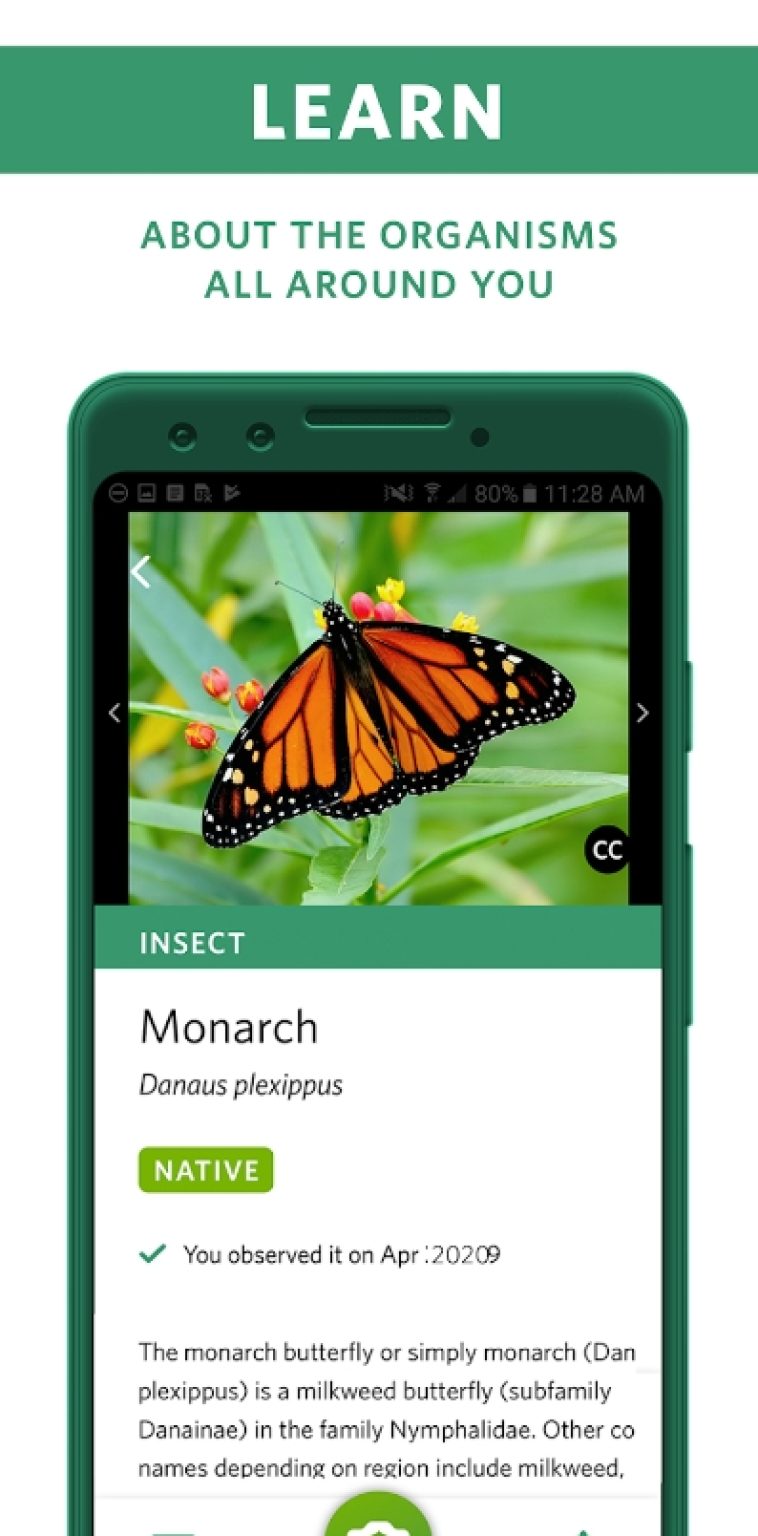 8 Best Animal Identification Apps for Android & iOS| Freeappsforme ...