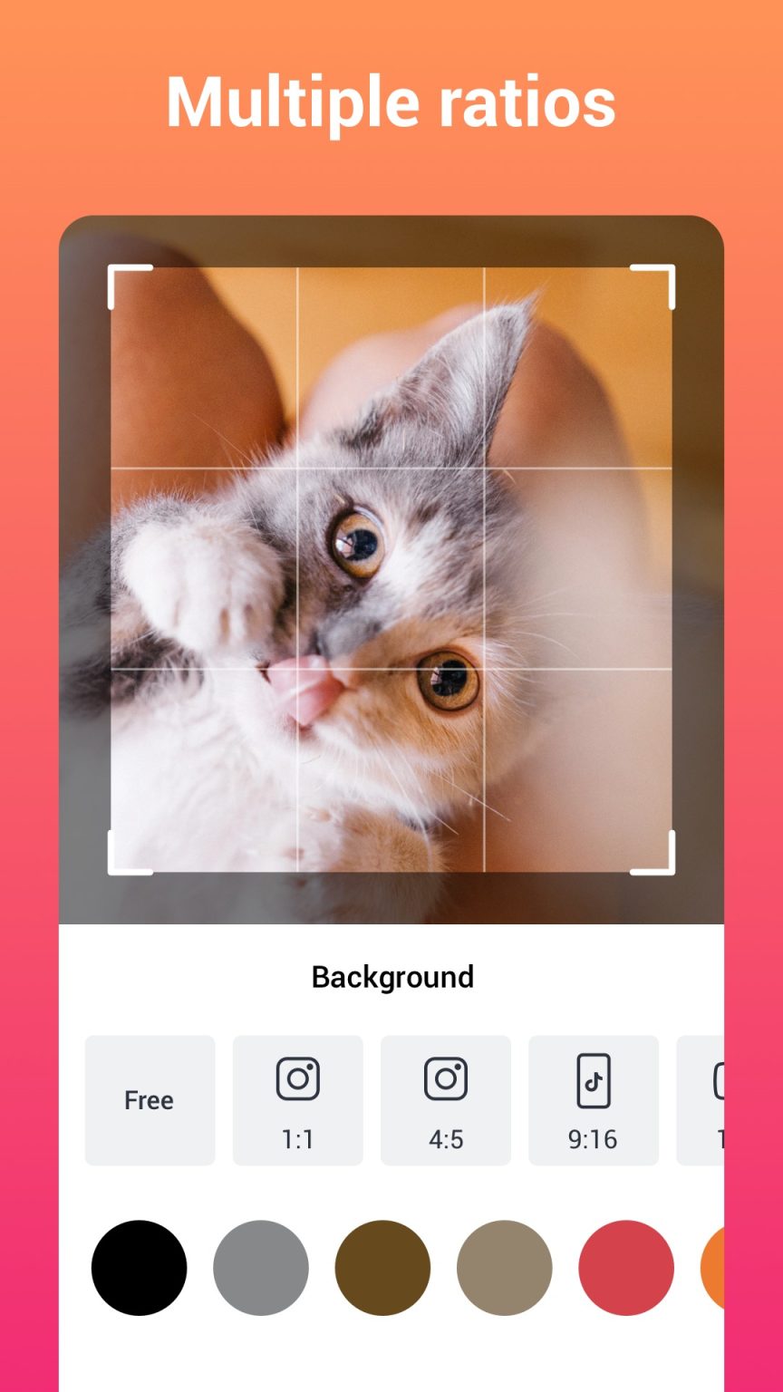 11 Free Apps to Add Music to Photos on Android & iOS | Freeappsforme ...