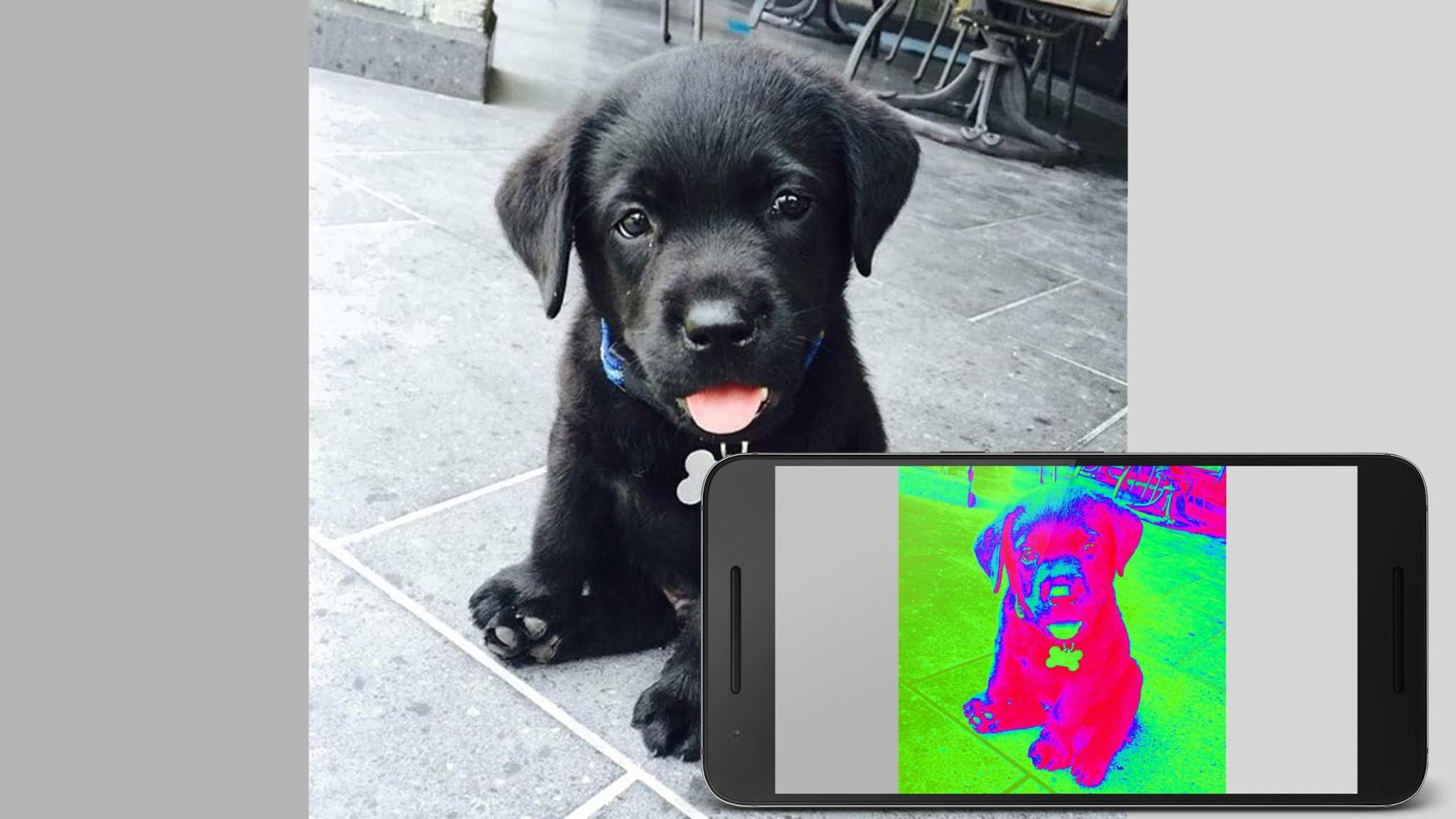 11 Best Thermal Camera Apps in 2026 (Android & iOS) | Freeappsforme ...