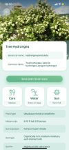 8 Free Tree Identification Apps for Android & iOS | Freeappsforme ...