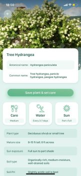 8 Free Tree Identification Apps for Android & iOS | Freeappsforme ...