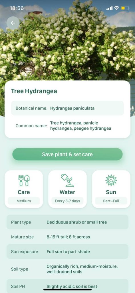 8 Free Tree Identification Apps for Android & iOS | Freeappsforme ...