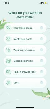 8 Free Tree Identification Apps for Android & iOS | Freeappsforme ...