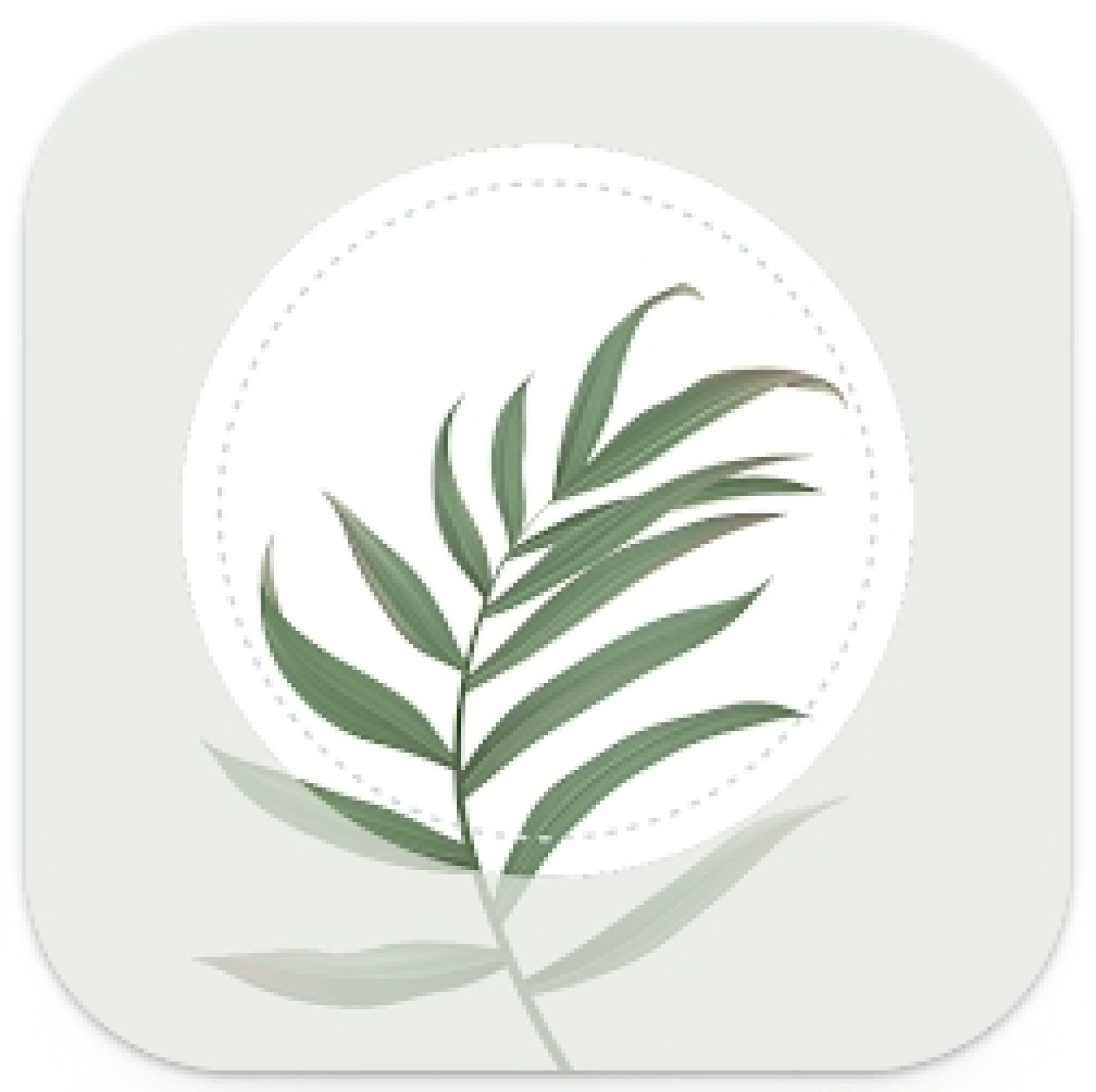 8 Free Tree Identification Apps for Android & iOS | Freeappsforme ...