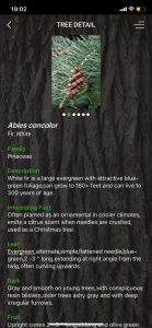 8 Free Tree Identification Apps for Android & iOS | Freeappsforme ...