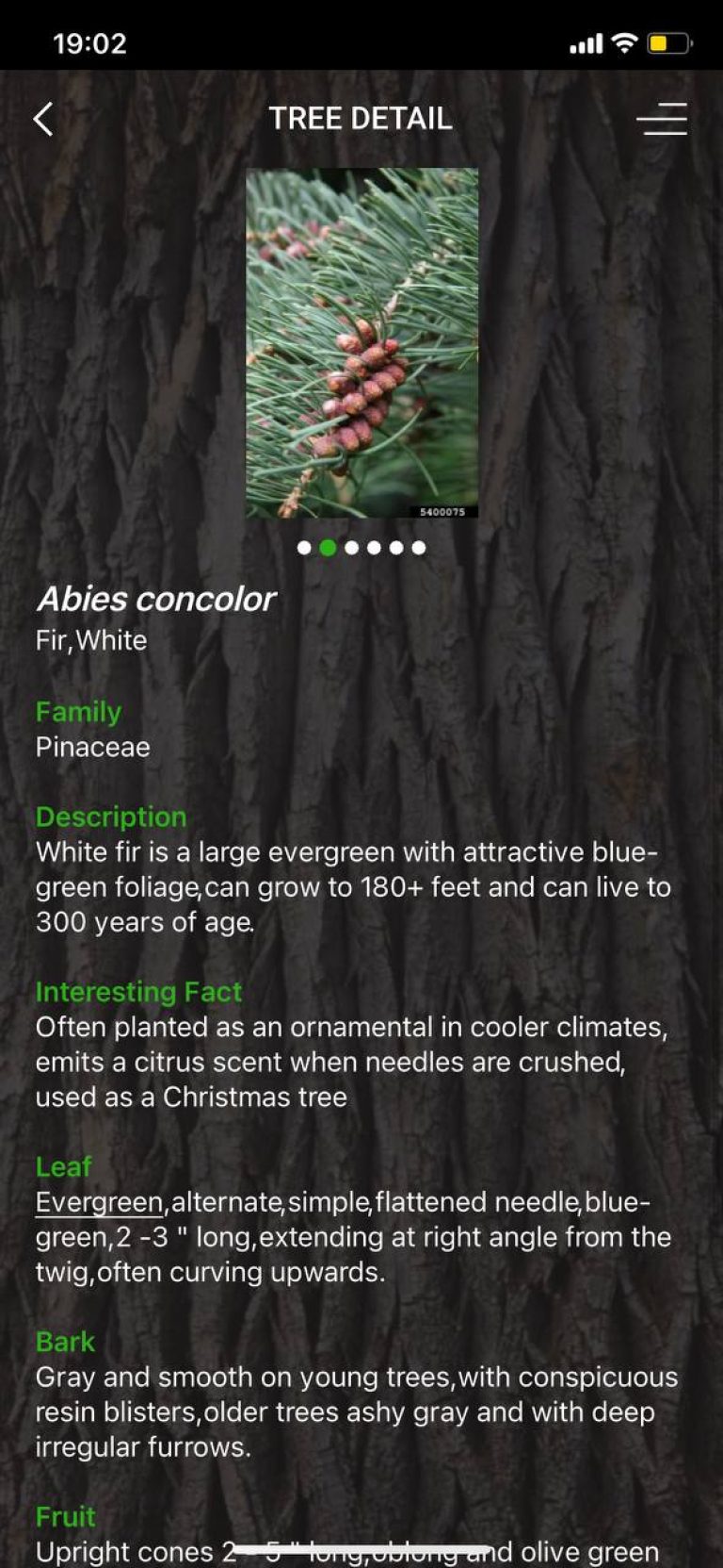 8 Free Tree Identification Apps for Android & iOS | Freeappsforme ...