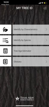 8 Free Tree Identification Apps for Android & iOS | Freeappsforme ...