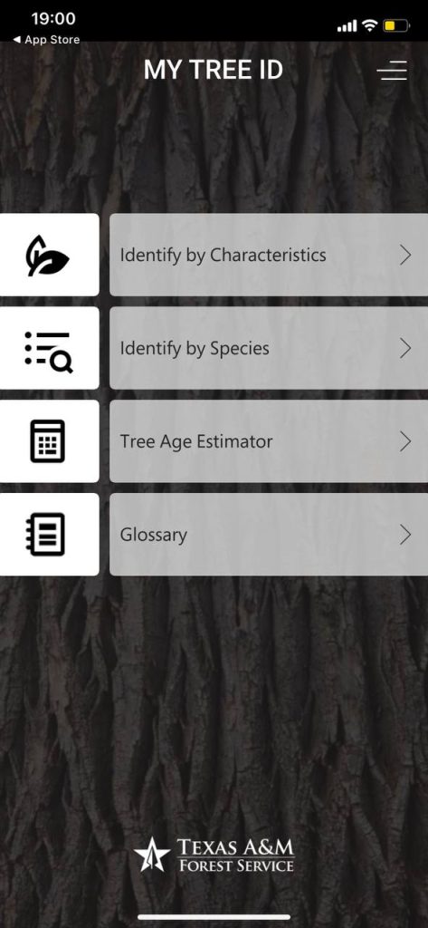 8 Free Tree Identification Apps for Android & iOS | Freeappsforme ...