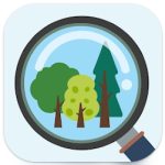8 Free Tree Identification Apps for Android & iOS | Freeappsforme ...