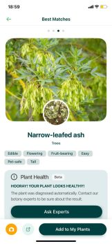 8 Free Tree Identification Apps for Android & iOS | Freeappsforme ...