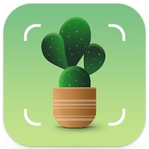 8 Free Tree Identification Apps for Android & iOS | Freeappsforme ...