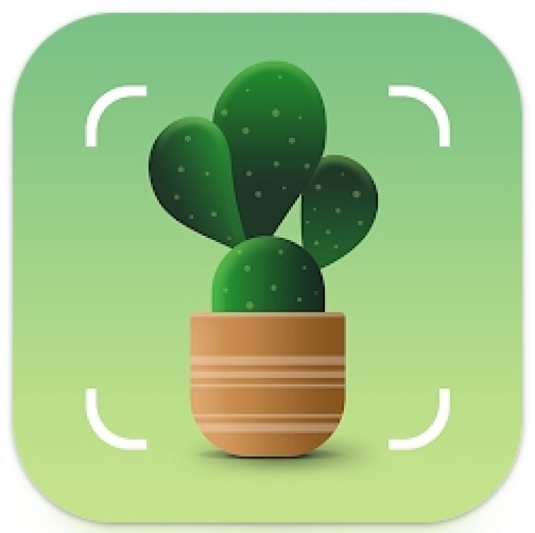 8 Free Tree Identification Apps for Android & iOS | Freeappsforme ...