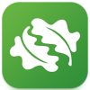 8 Free Tree Identification Apps for Android & iOS | Freeappsforme ...