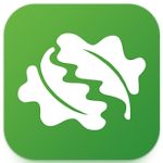 8 Free Tree Identification Apps for Android & iOS | Freeappsforme ...