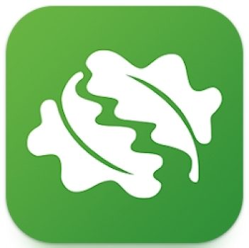 8 Free Tree Identification Apps for Android & iOS | Freeappsforme ...