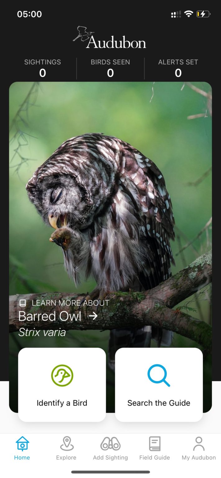 11 Free Bird Call Identifier Apps for Android & iOS | Freeappsforme ...