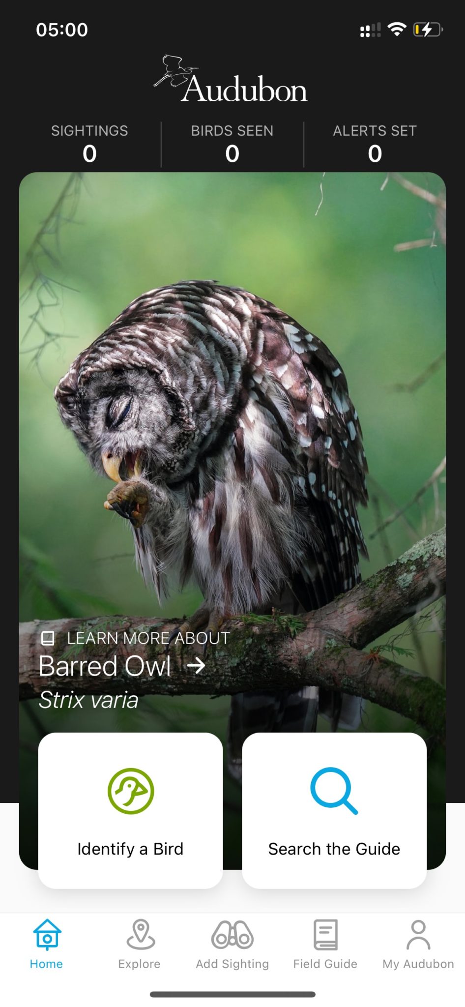 11 App Gratuite Per Identificare I Richiami Degli Uccelli - Risorse Dal Web