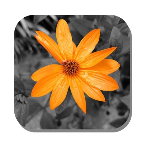 11 Free Apps to Replace Color in Image (Android & iOS) | Freeappsforme ...