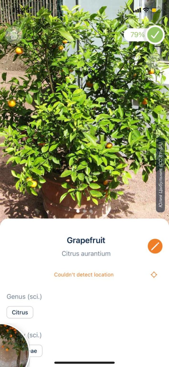 8 Best Fruit Identification Apps for Android & iOS | Freeappsforme - Free apps for Android and iOS
