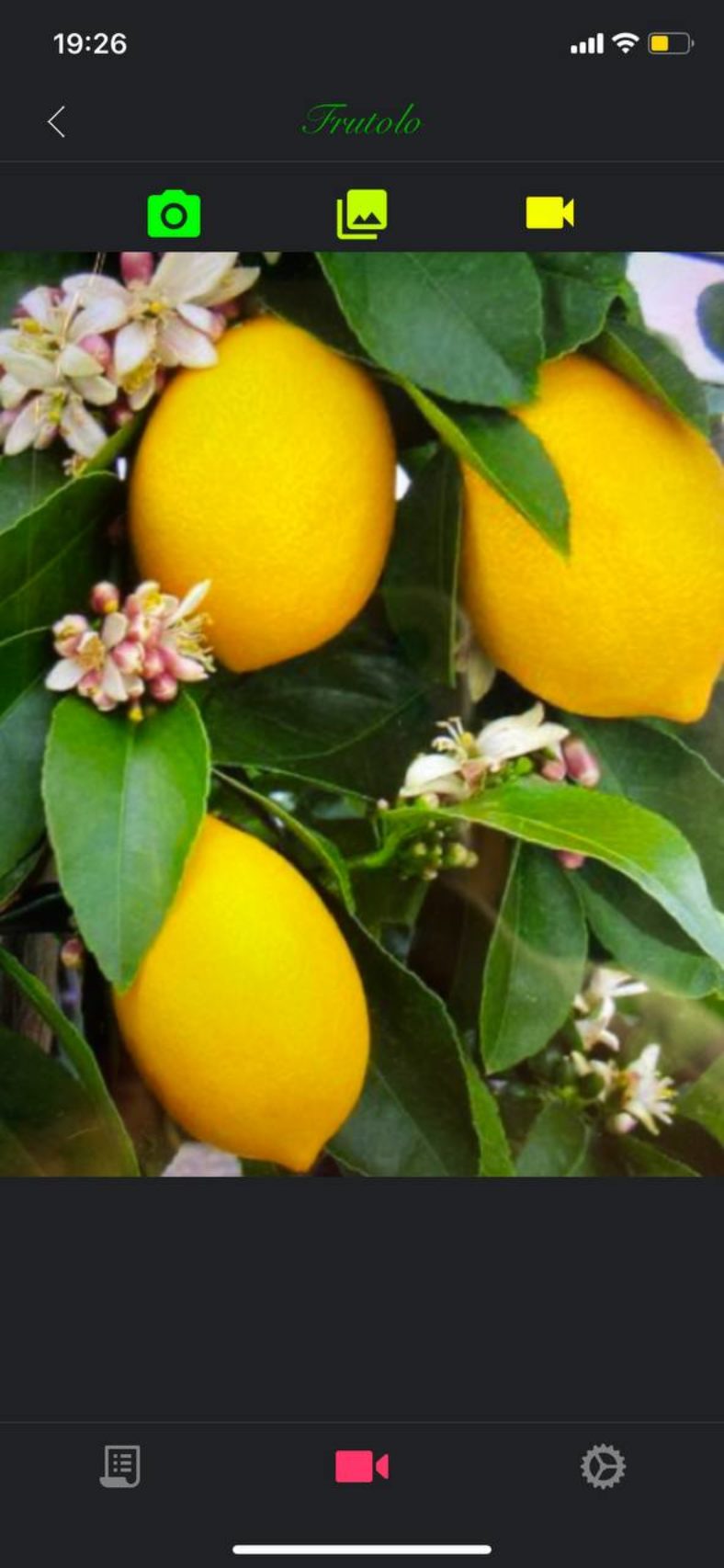 8 Best Fruit Identification Apps for Android & iOS | Freeappsforme ...