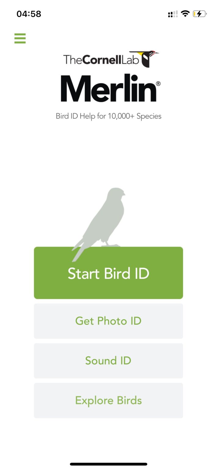 11 Free Bird Call Identifier Apps for Android & iOS | Freeappsforme ...