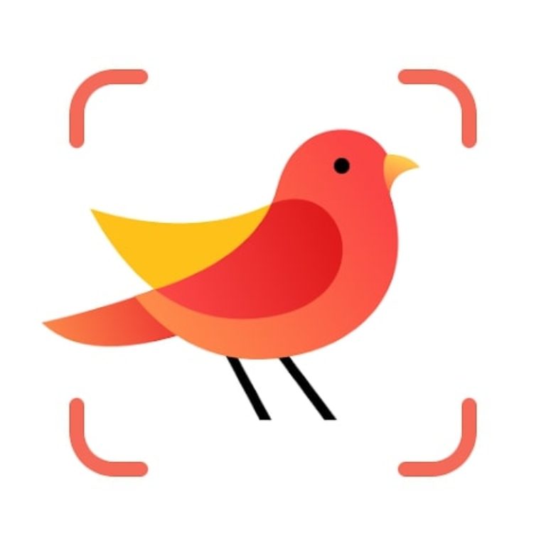11 Free Bird Call Identifier Apps for Android & iOS | Freeappsforme ...