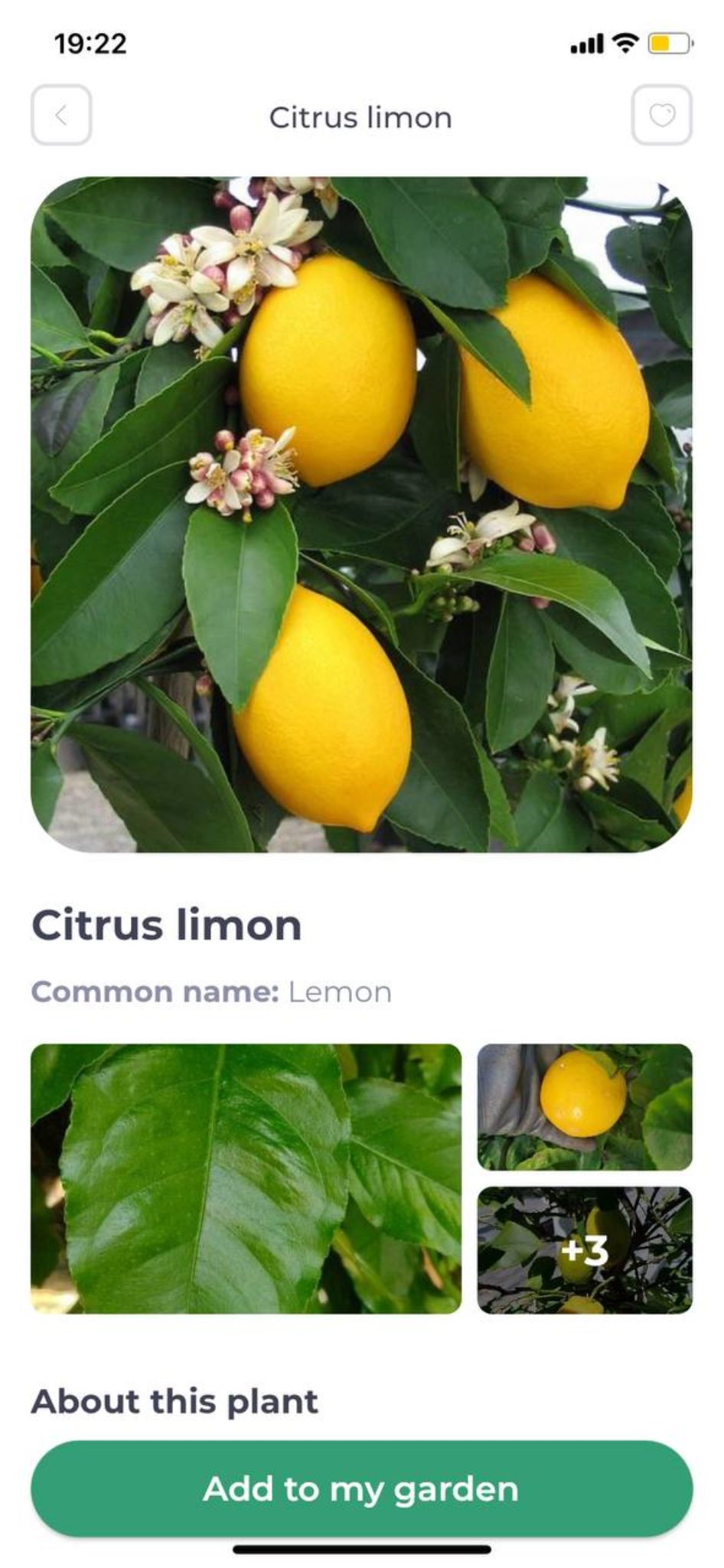 8 Best Fruit Identification Apps for Android & iOS | Freeappsforme ...