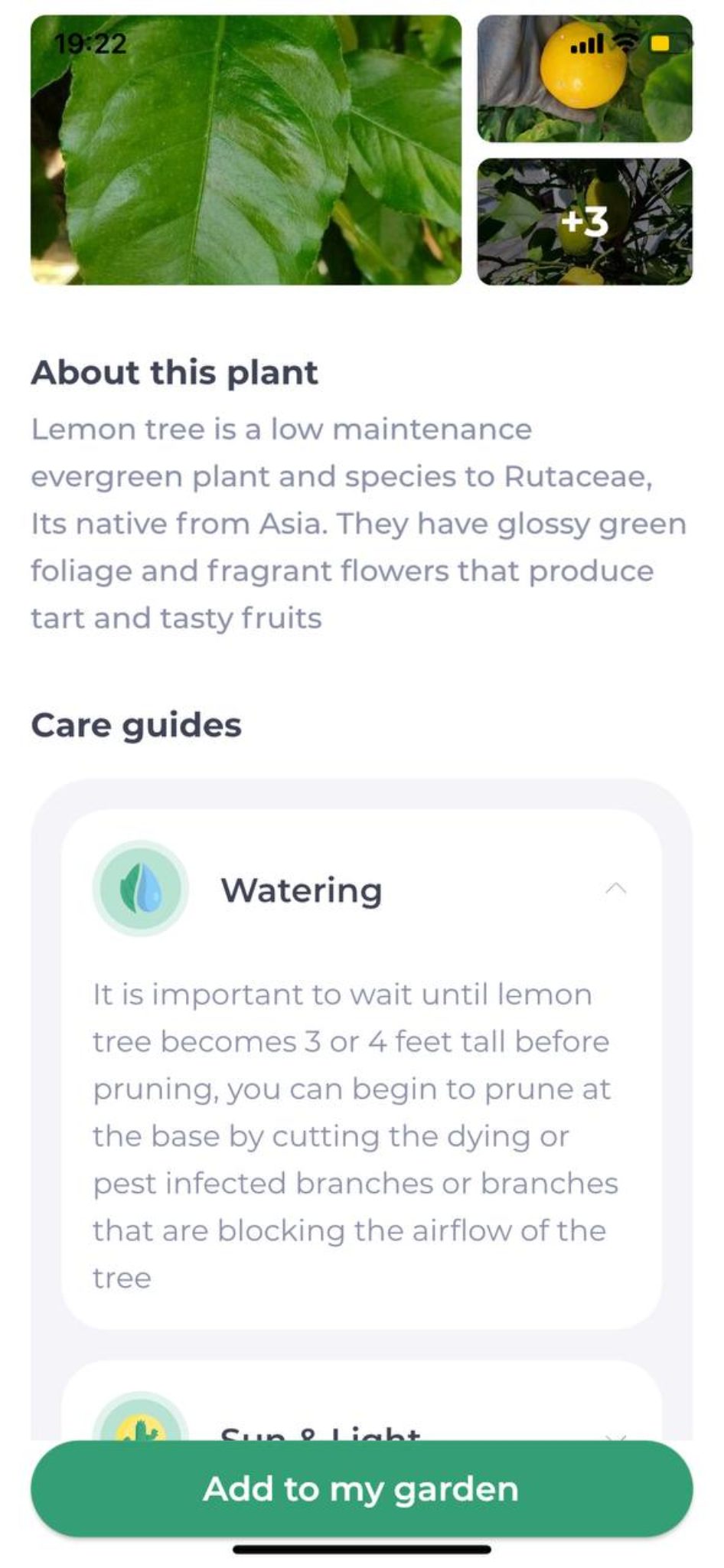 8 Best Fruit Identification Apps for Android & iOS | Freeappsforme ...