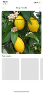 8 Best Fruit Identification Apps for Android & iOS | Freeappsforme ...