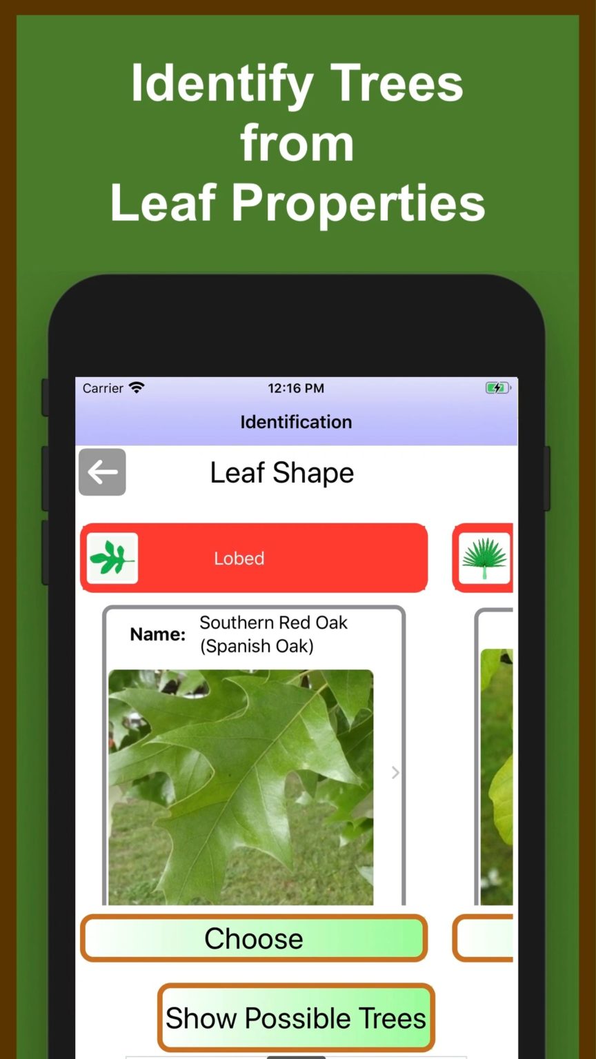 9 Apps to Identify Wood by Picture (Android & iOS) | Freeappsforme ...