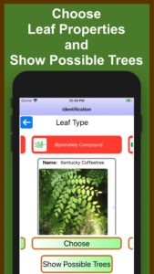 9 Apps to Identify Wood by Picture (Android & iOS) | Freeappsforme ...