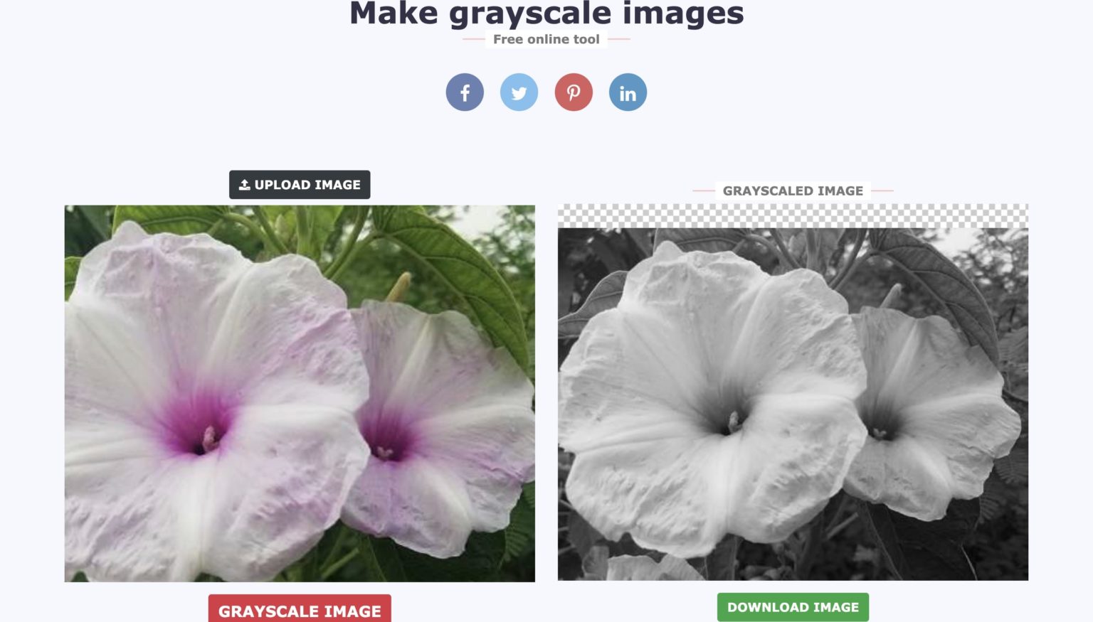 11 Free Grayscale Converters (Apps & Websites) | Freeappsforme - Free ...