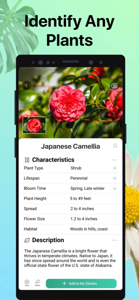 9 Apps to Identify Wood by Picture (Android & iOS) | Freeappsforme ...
