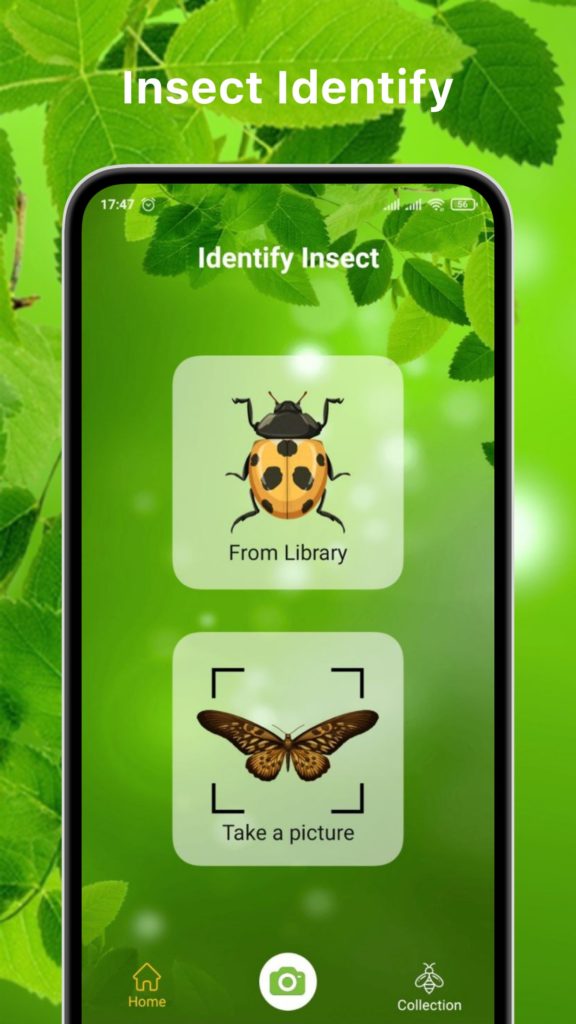 8 Best Spider Identification Apps for Android & iOS | Freeappsforme ...
