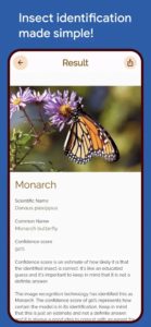 8 Best Spider Identification Apps for Android & iOS | Freeappsforme ...