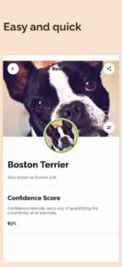 12 Free Dog Breed Identifier Apps 2025 (Android & iOS) | Freeappsforme - Free apps for Android ...