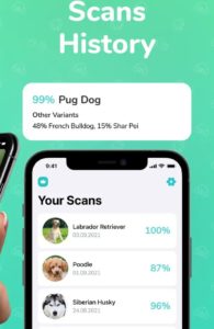 12 Free Dog Breed Identifier Apps 2026 (Android & iOS) | Freeappsforme ...