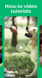 9 Best Dog Stop Barking Apps (updated 2026) | Freeappsforme - Free apps ...